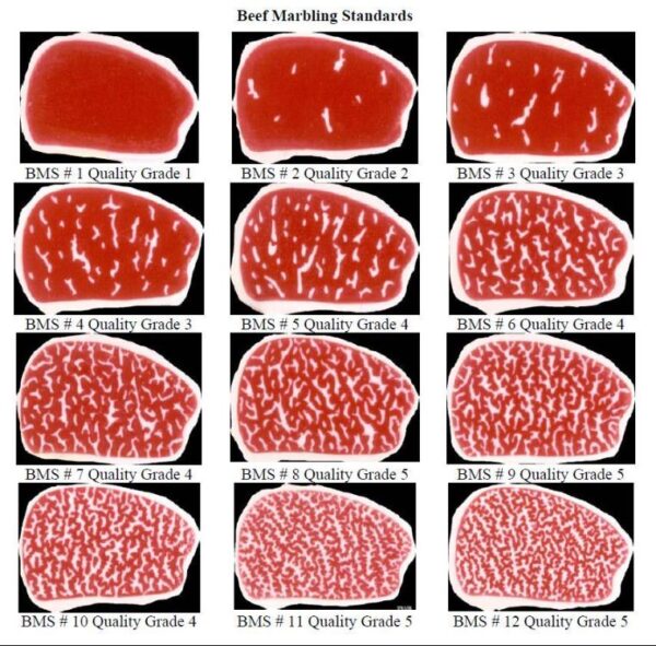 How is Steak Graded in Australia? | A Place 2 Meat